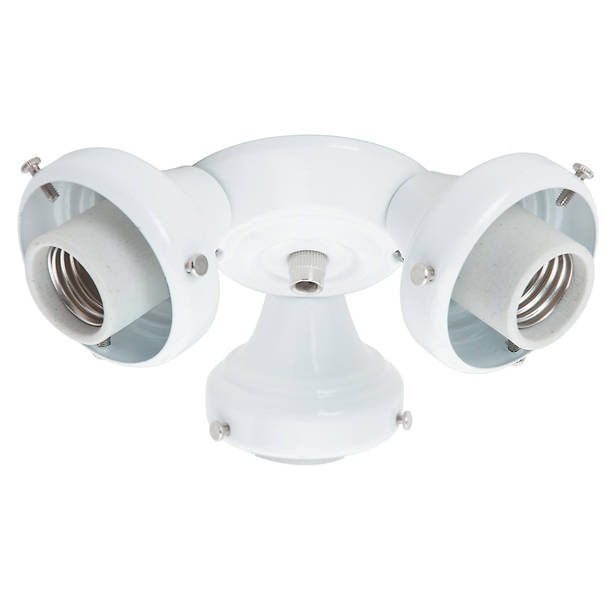 Hunter Fan 4-Light Ceiling Fan Light Fitter & Reviews | Wayfair