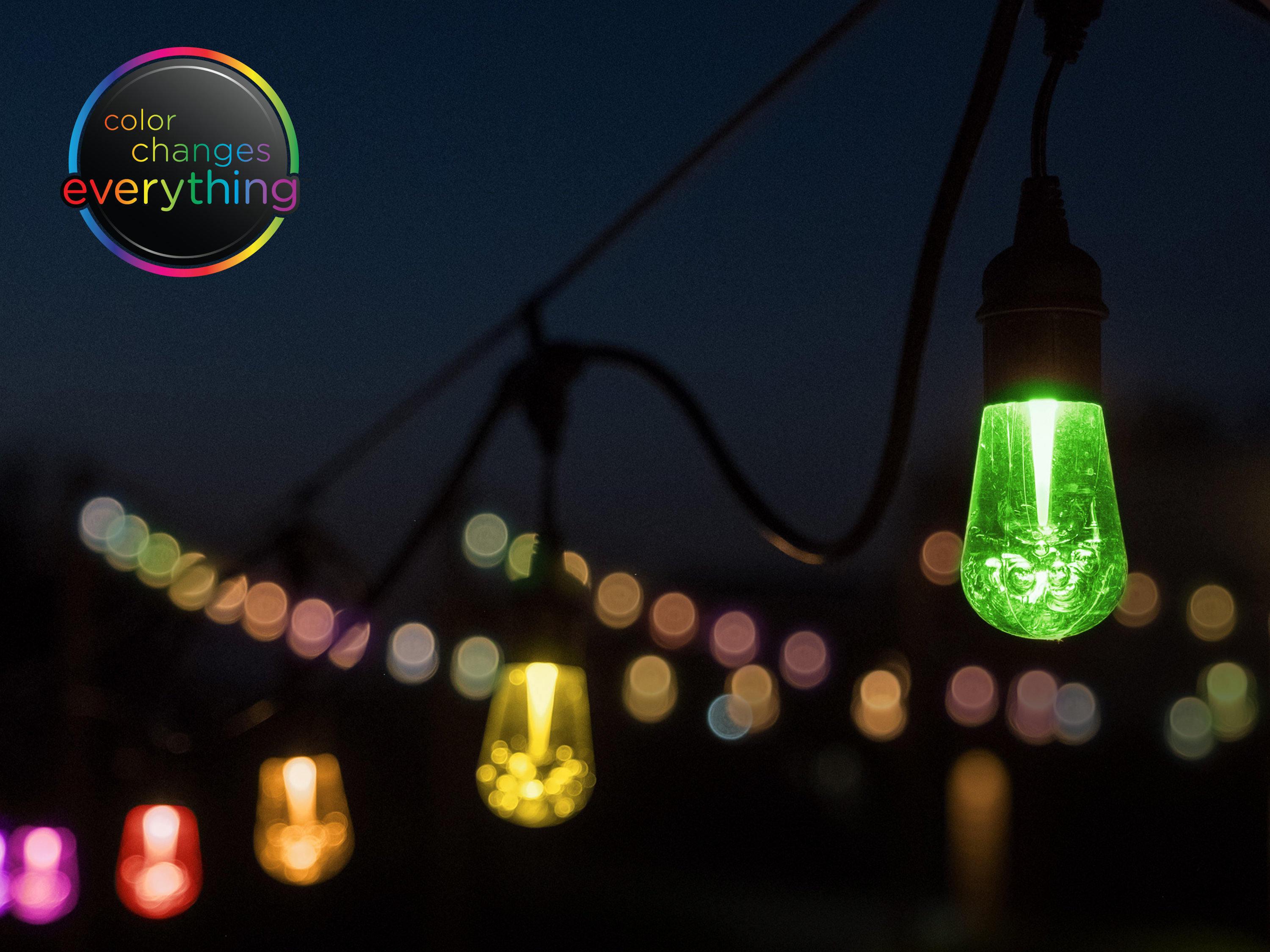 Enbrighten Seasons Vintage LED Cafe Lights, 48Ft, 24 Acrylic Bulbs ...