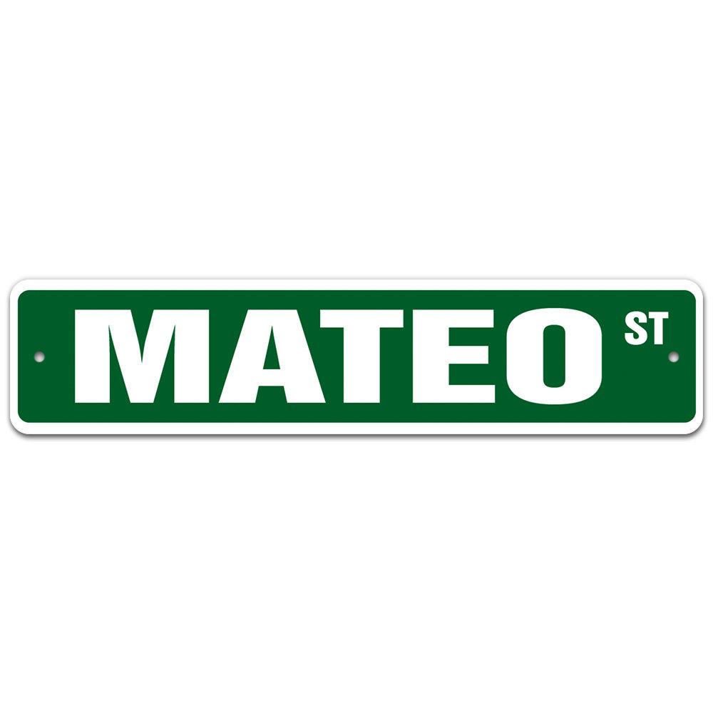 Trinx MATEO Aluminum Street Sign Childrens Name Room Metal Sign ...