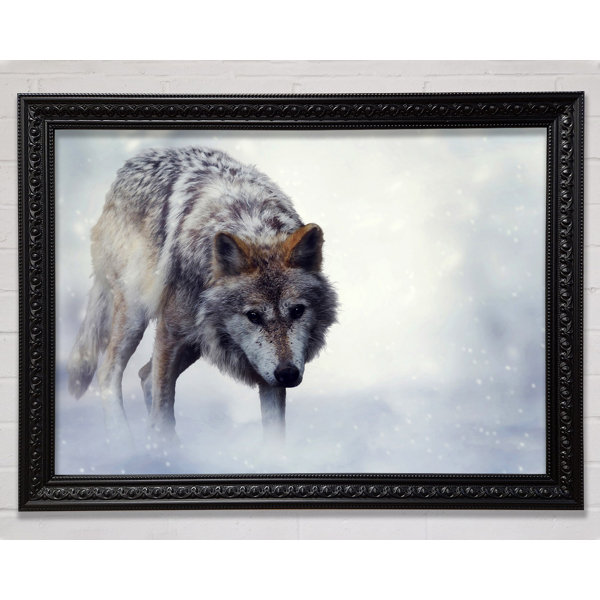 Bright Star Prowling Wolf - Single Picture Frame Print | Wayfair.co.uk