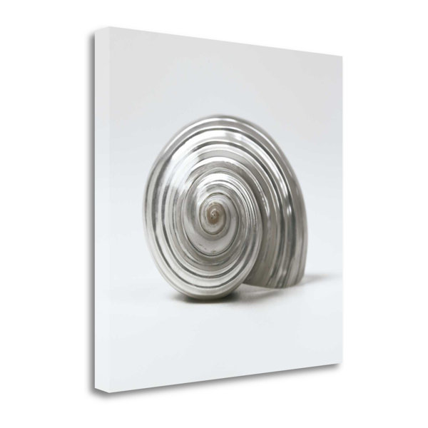 Rosecliff Heights 27" Contemporary Metallic Silver Seashell On Canvas ...