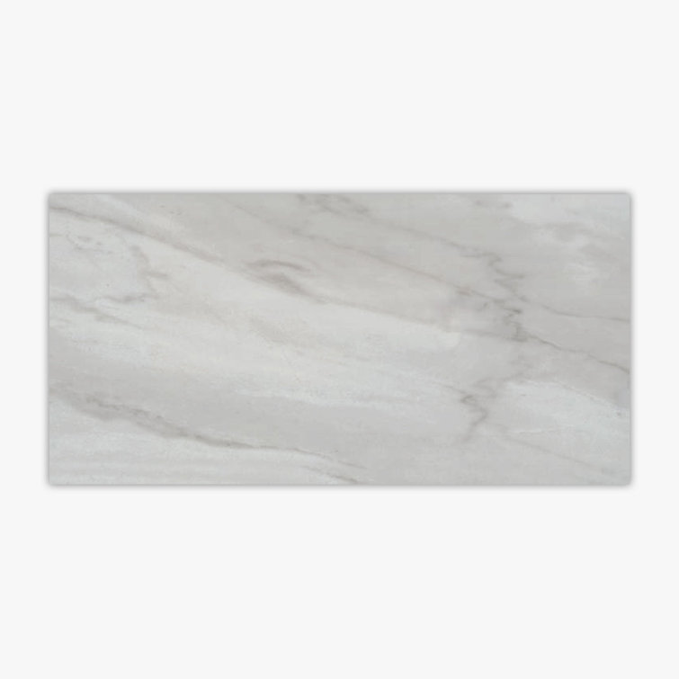 Direct Stone Source 24" x 48" Porcelain Marble Look Wall & Floor Tile ...