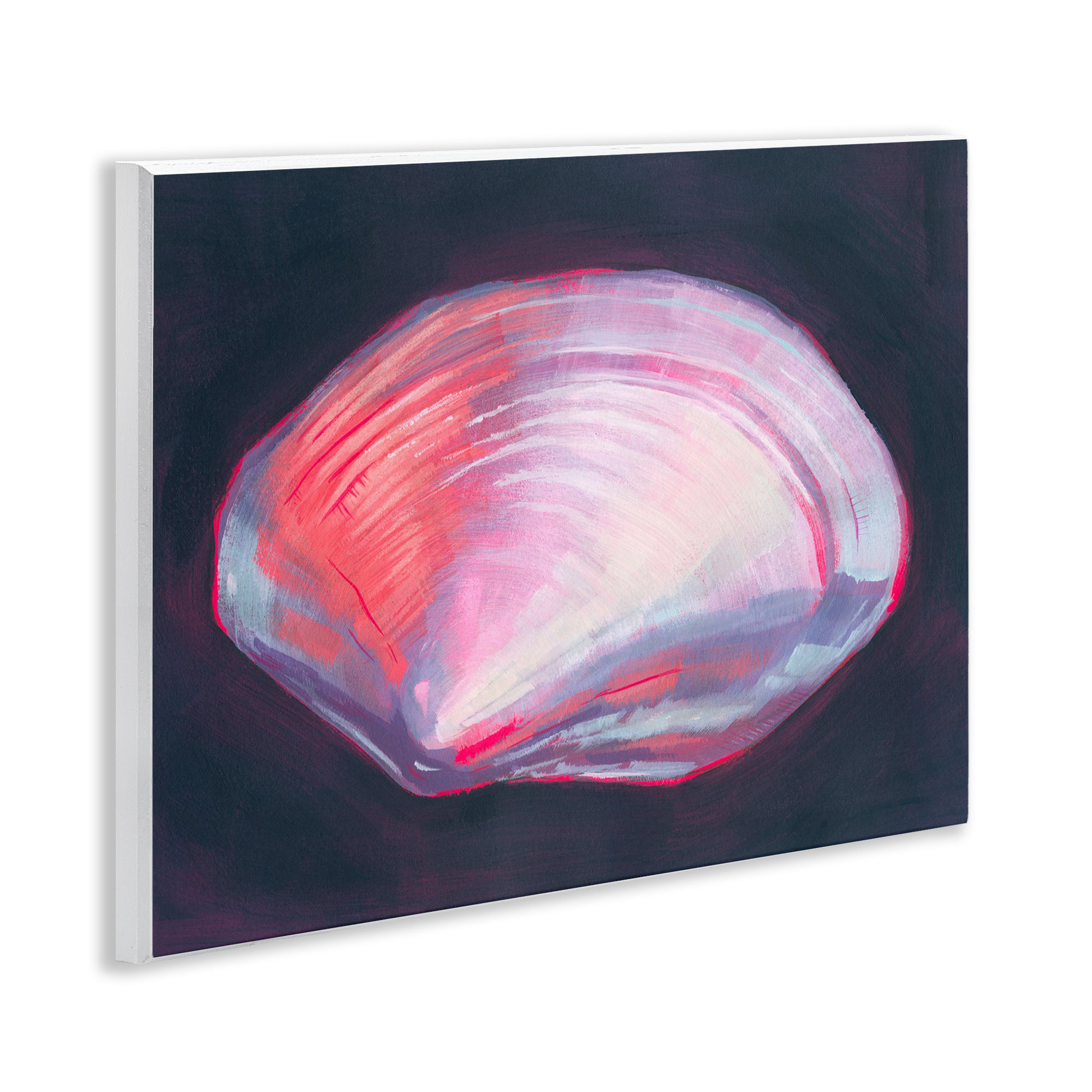 Ebern Designs Pink Clam on Black Wall Plaque Art by Grace Popp | Wayfair