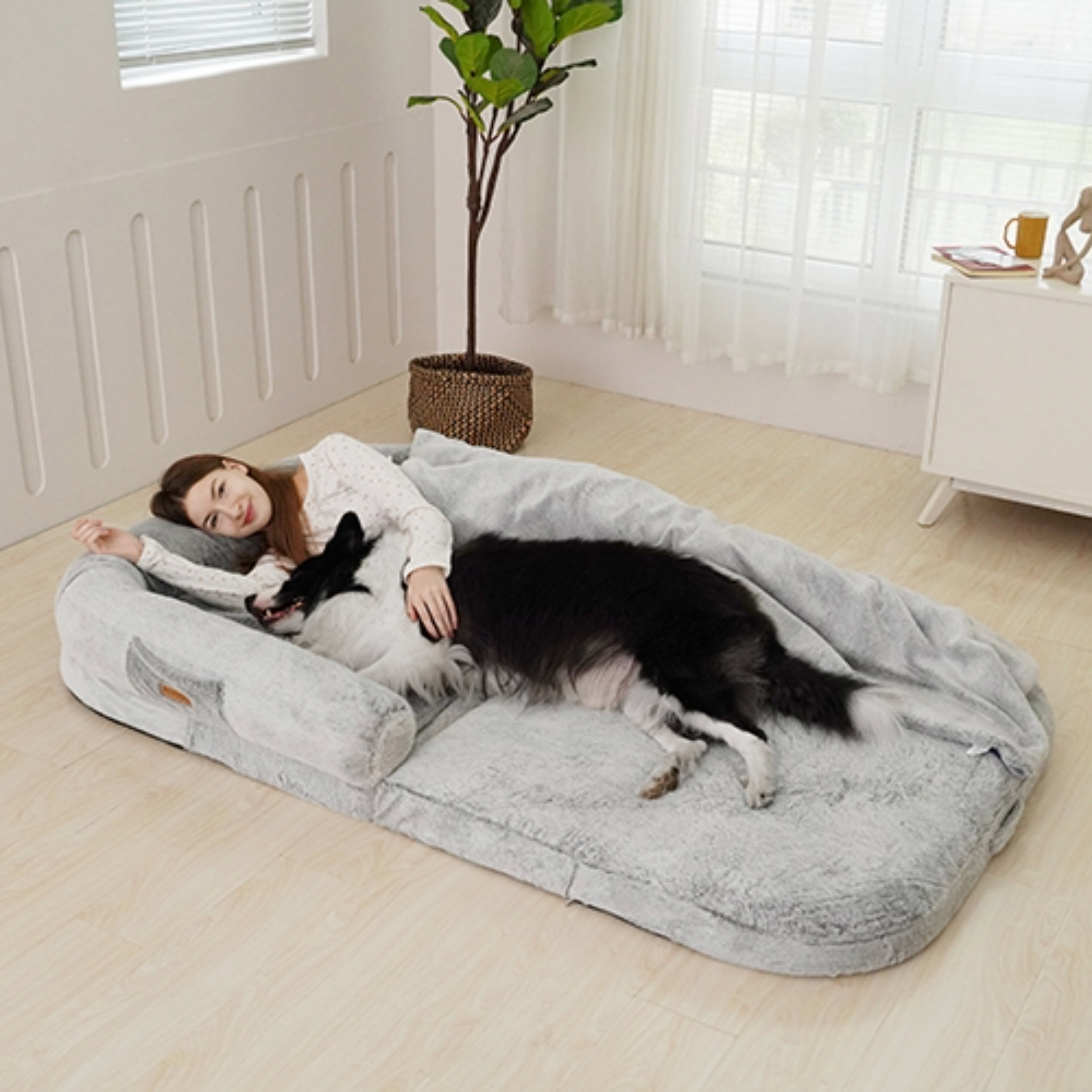 Archie & Oscar™ Kristine Foldable Dog Bolster Bed For Pets & Humans ...