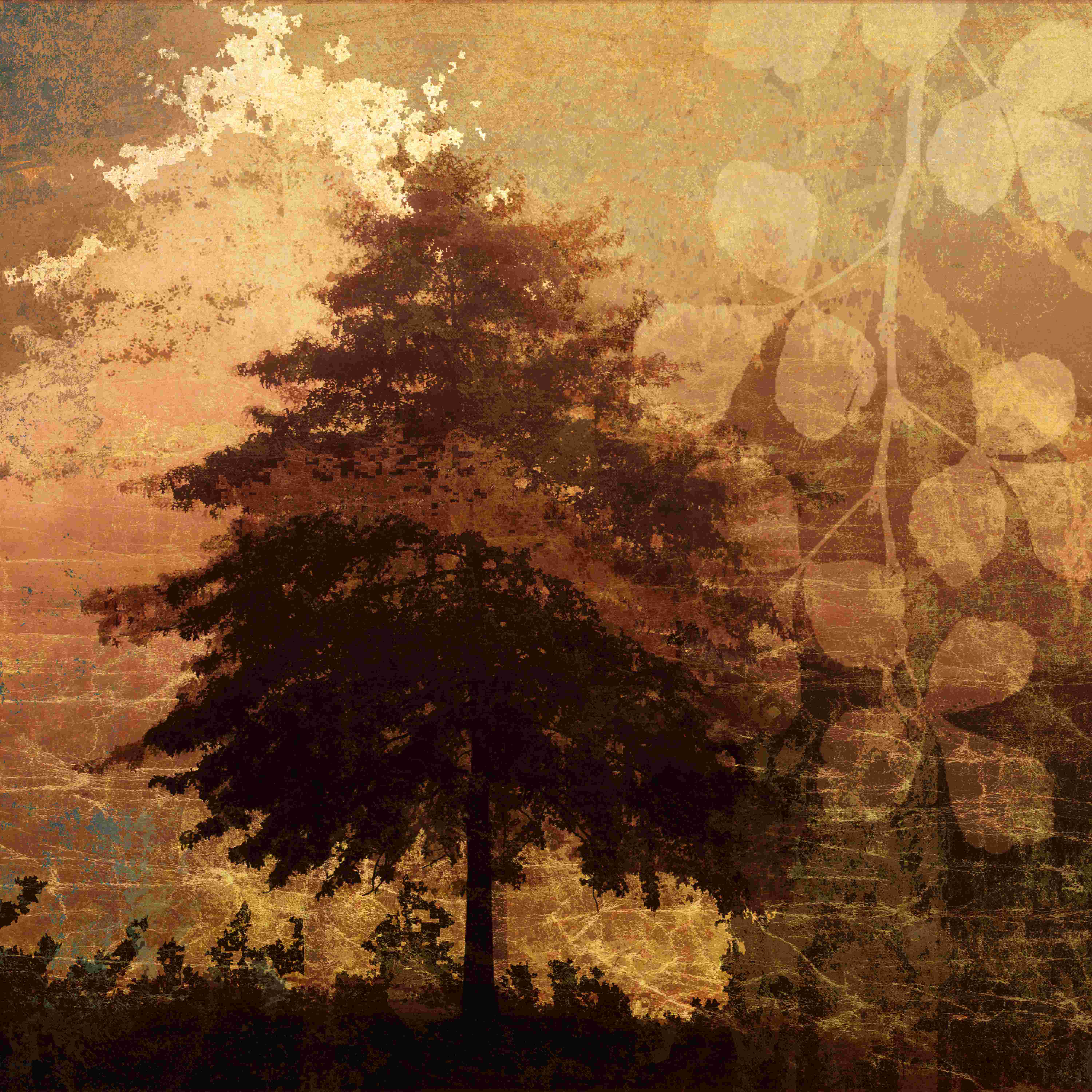 Winston Porter Mangled Distressed Trees - Wayfair Canada