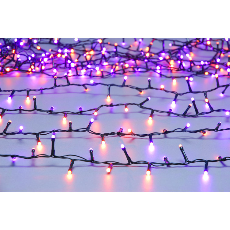 The Seasonal Aisle 1297cm LED Indoor / Outdoor String Lights | Wayfair ...
