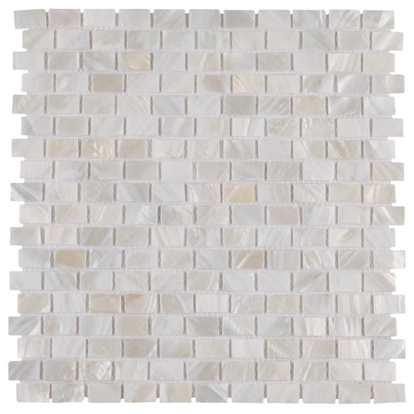 Shell Floor Tiles & Wall Tiles You'll Love | Wayfair
