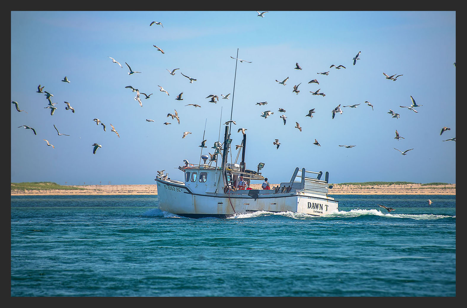 Breakwater Bay " Fishing Boat With Seagulls Waiting For Food ...