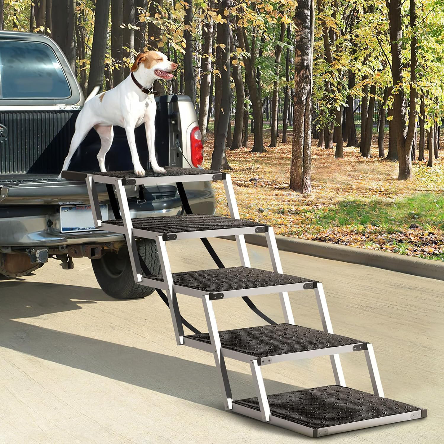 Tucker Murphy Pet™ Reinforced Dog Stairs for Car & Reviews - Wayfair Canada