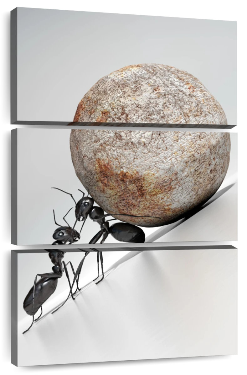 Ebern Designs Brampt Black Ant Teamwork - Wayfair Canada
