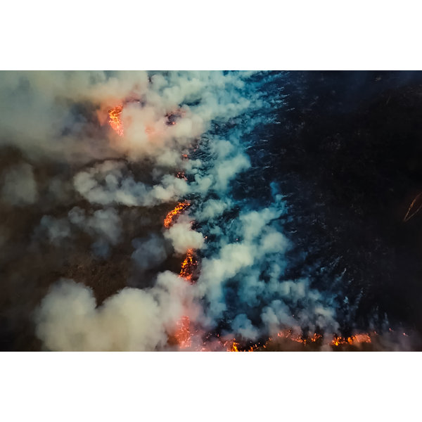 17 Stories Annaros Fire In The Forest by LYagovy - Wrapped Canvas Art ...