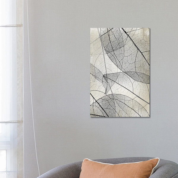 Ivy Bronx Transparent II | Wayfair.co.uk