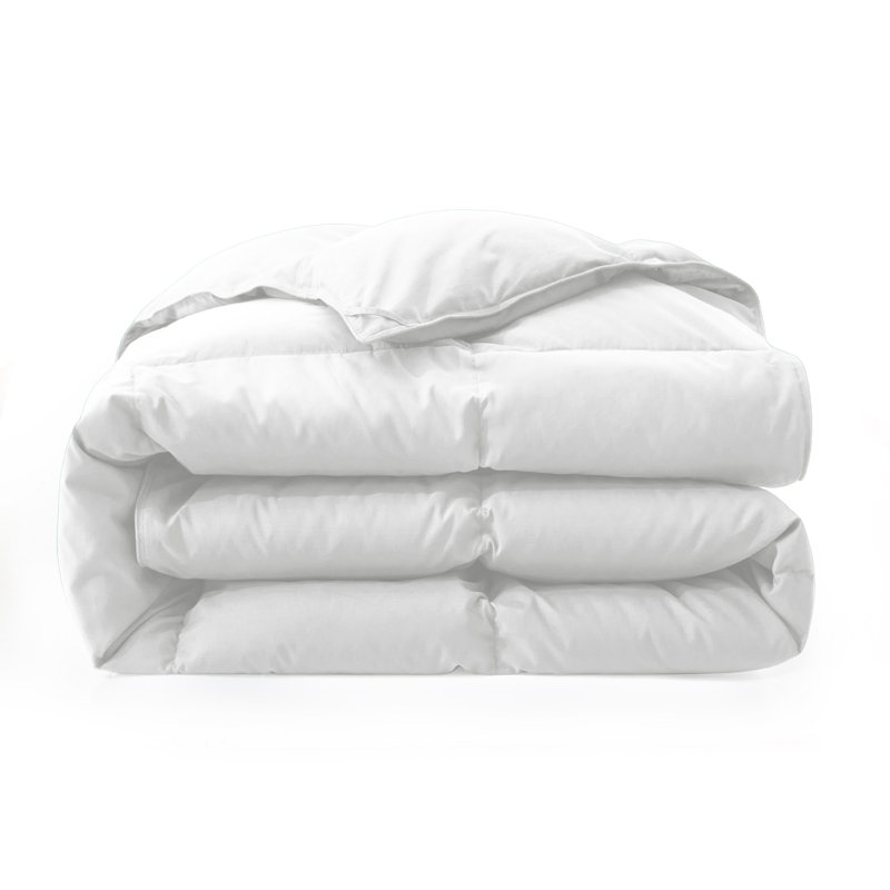 The Twillery Co.® 600 Fill Power All Seasons Down Comforter & Reviews ...