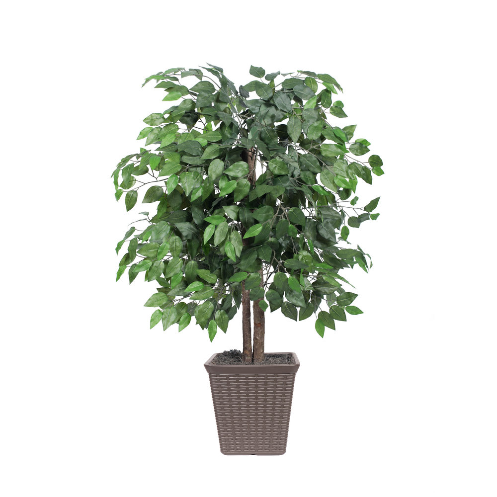 Primrue 4' Artificial Ficus Bush, Gray Square Plastic Container | Wayfair