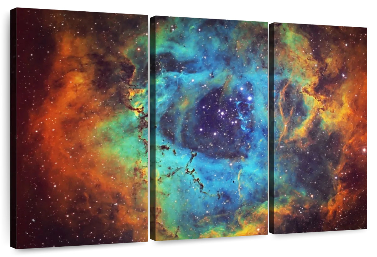 Ebern Designs Oberle Cosmic Rosette Nebula | Wayfair