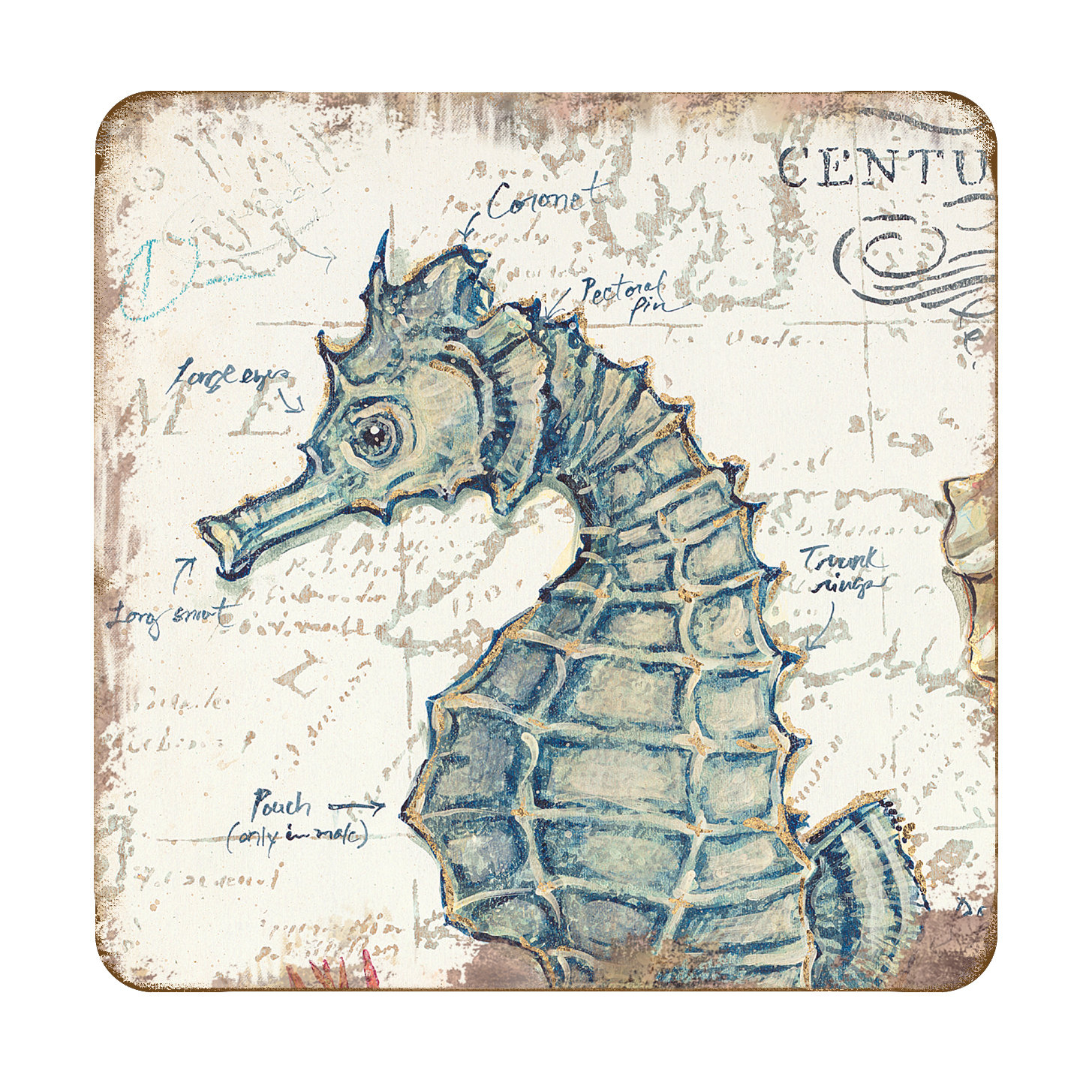 Rosecliff Heights Seahorse Coaster | Wayfair