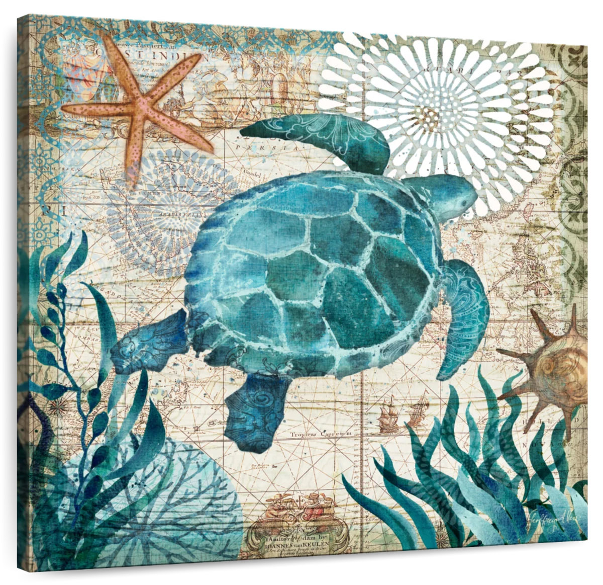 Ebern Designs Brampt Monterey Bay Turtle | Wayfair