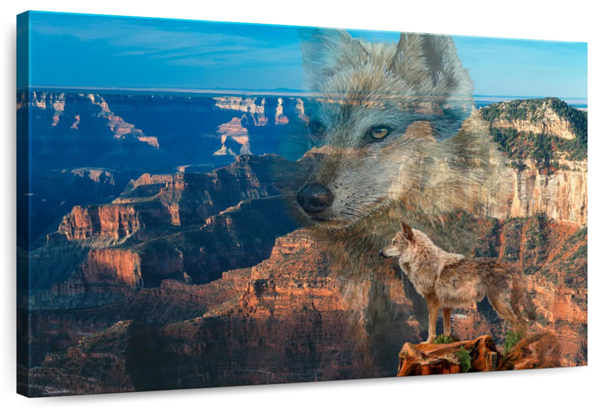 Ebern Designs Haunted Canyon | Wayfair