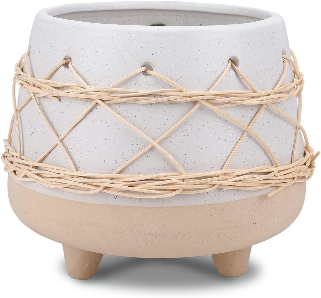 Bay Isle Home™ 8-inch Ceramic Planter With Drainage | Wayfair