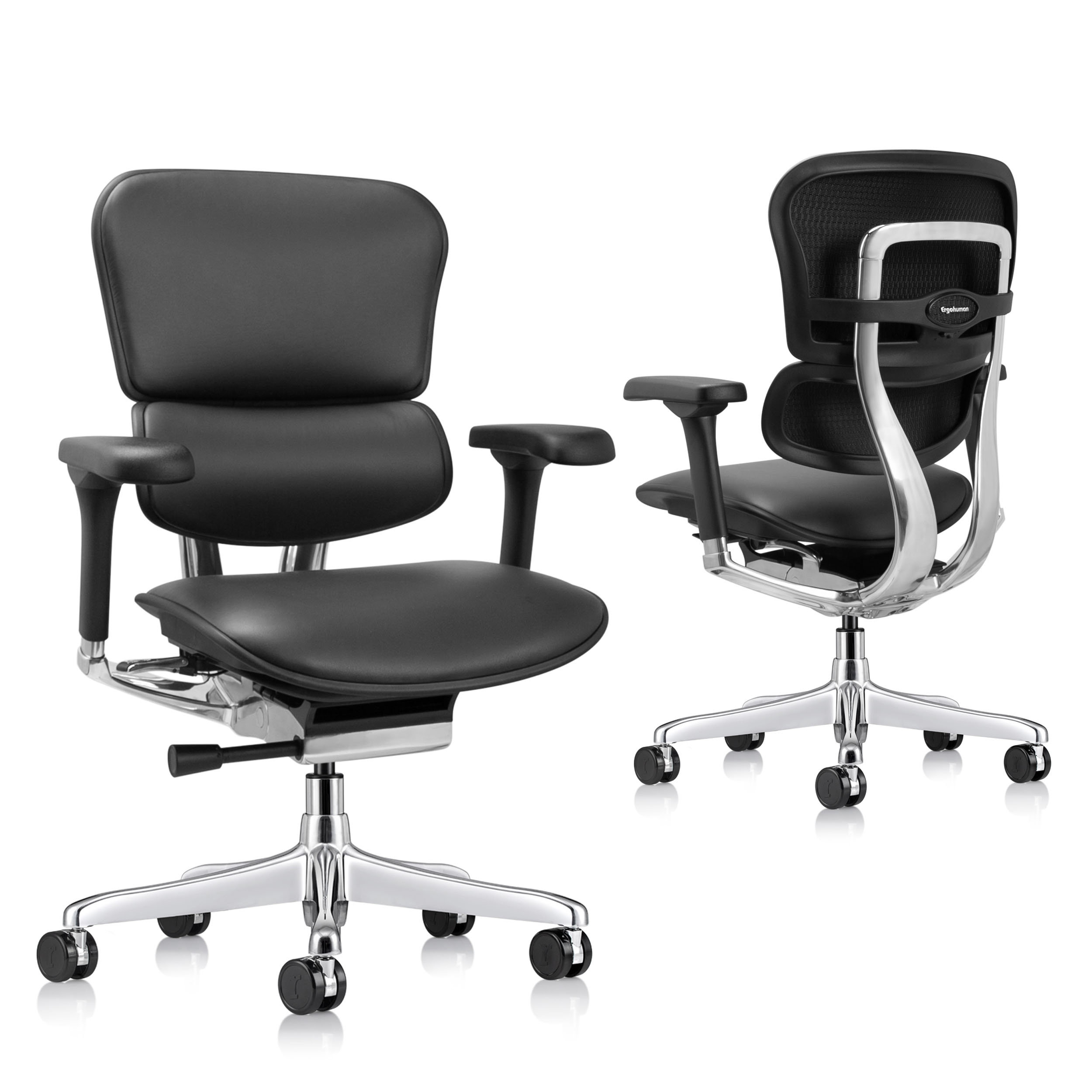 Eurotech Seating Ergohuman Leather Task Chair | Wayfair