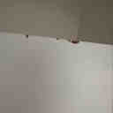 Trimlite Primed 2 Panel Shaker Bi-Fold Door & Reviews | Wayfair