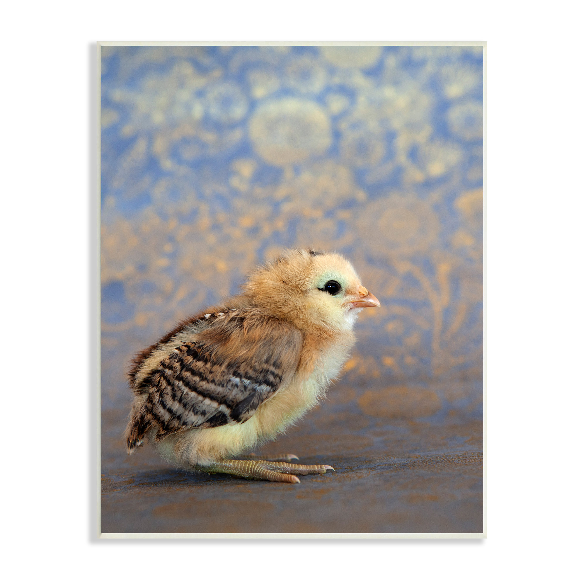 Stupell Industries Tiny Baby Bird Chick Patterned Botanical Backdrop ...