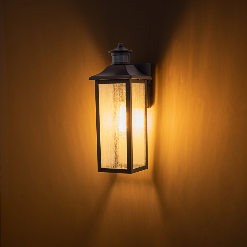 Lark Manor™ Anrea Iron Wall Light & Reviews | Wayfair