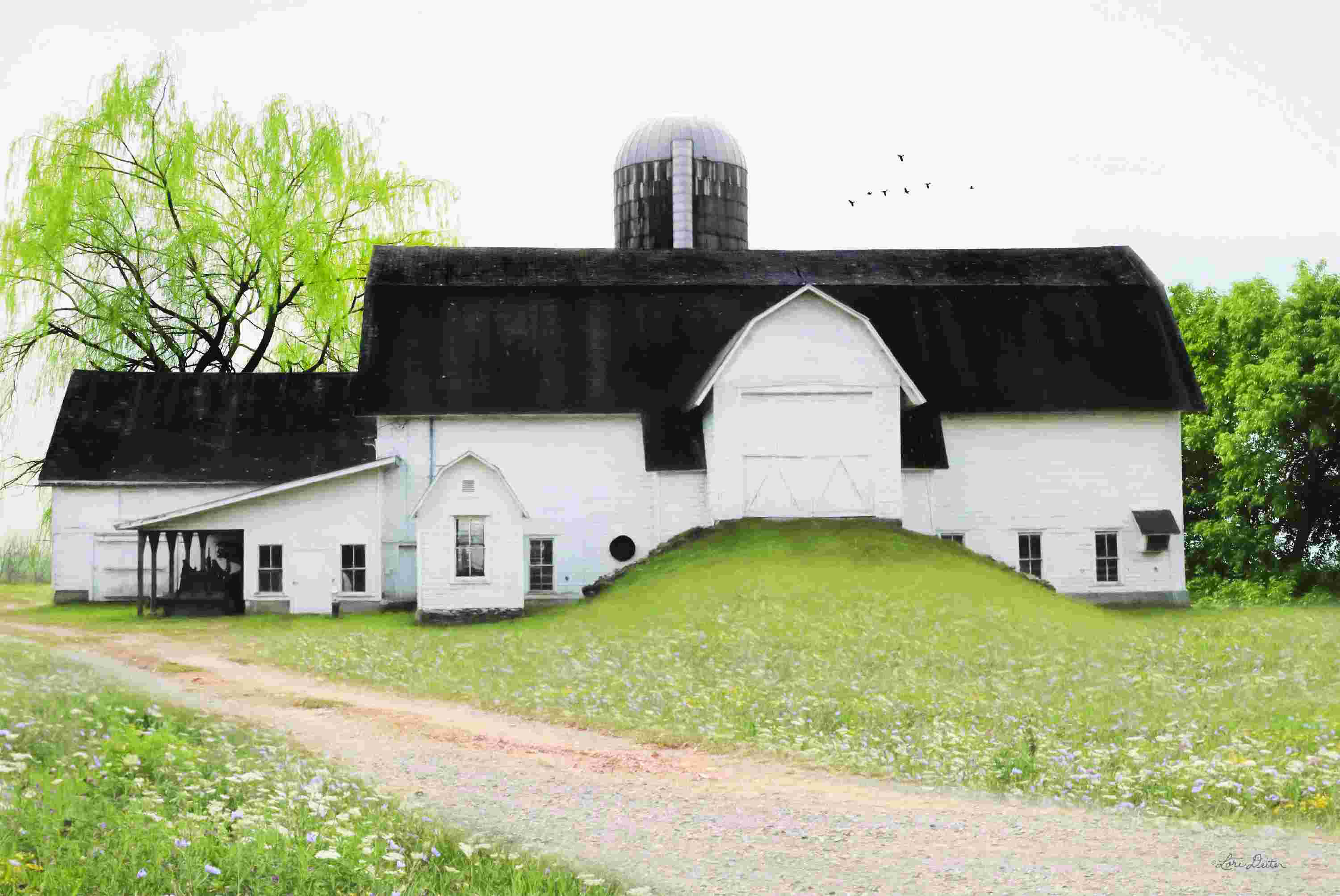 Gracie Oaks Big Country Barn | Wayfair