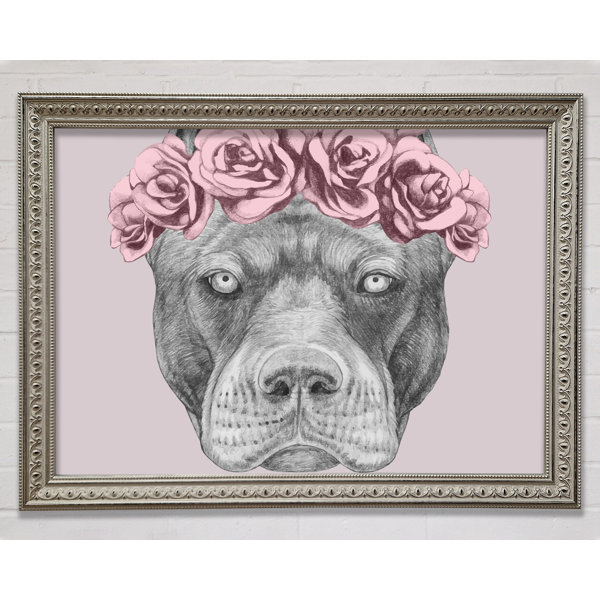 Bright Star Flower Head Pitbull - Single Picture Frame Print | Wayfair ...