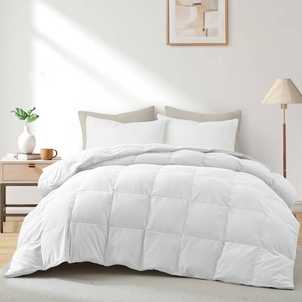 The Twillery Co.® 600 Fill Power All Seasons Down Comforter & Reviews ...