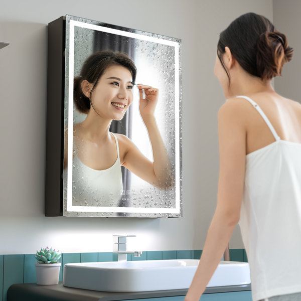 Wrought Studio David-Christian LED Lighted Bathroom Medicine Cabinet ...