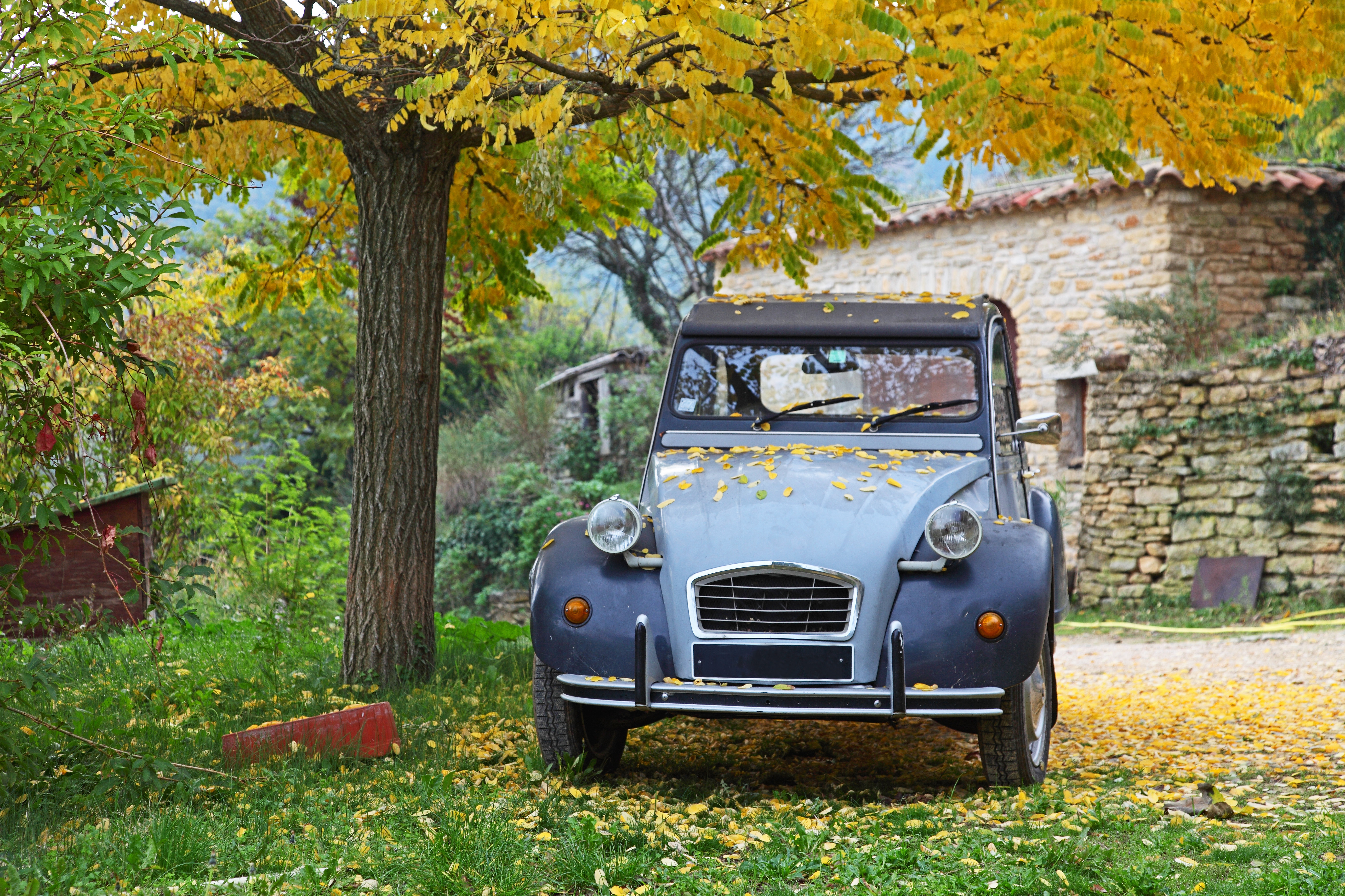 Latitude Run® Photo of Typical Blue French Car by Thelinke | Wayfair