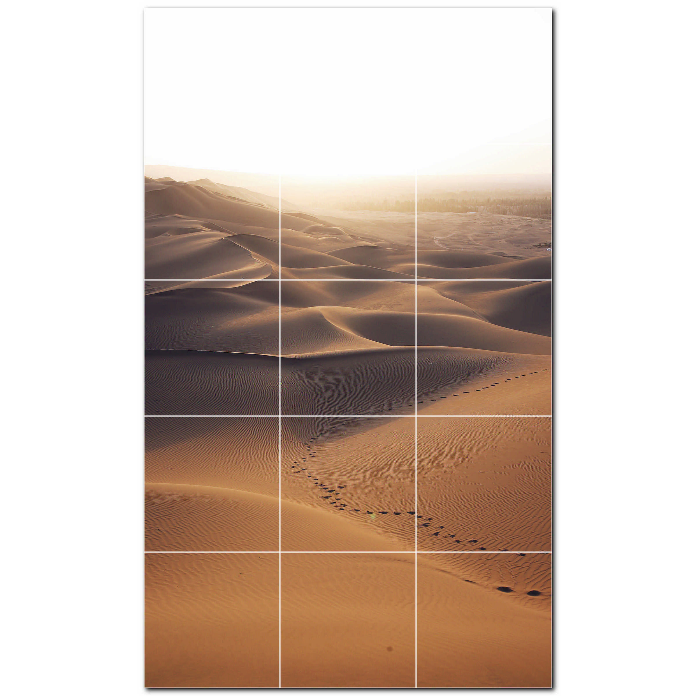 Picture-Tiles.com Desert Photo 6'' x 6'' Satin Ceramic Decorative Mural ...