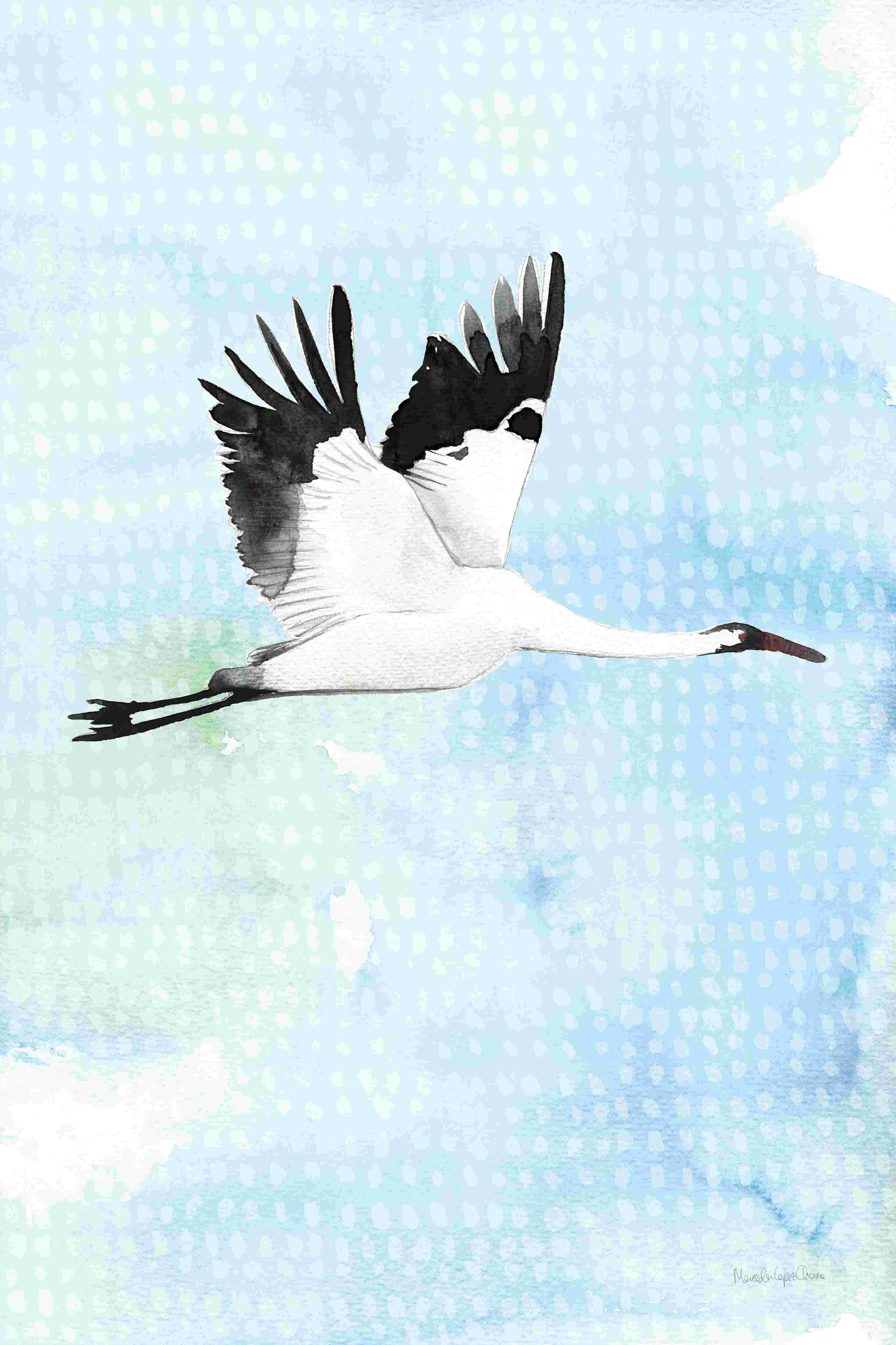 Highland Dunes Crane in Flight I by Mercedes Lopez Charro - Wrapped ...