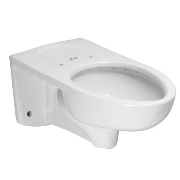 American Standard Afwall Dual Flush Elongated Toilet Bowl - Wayfair Canada