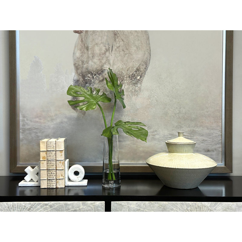 Creative Displays, Inc. Split Leaf Philodendron In Water & Reviews ...