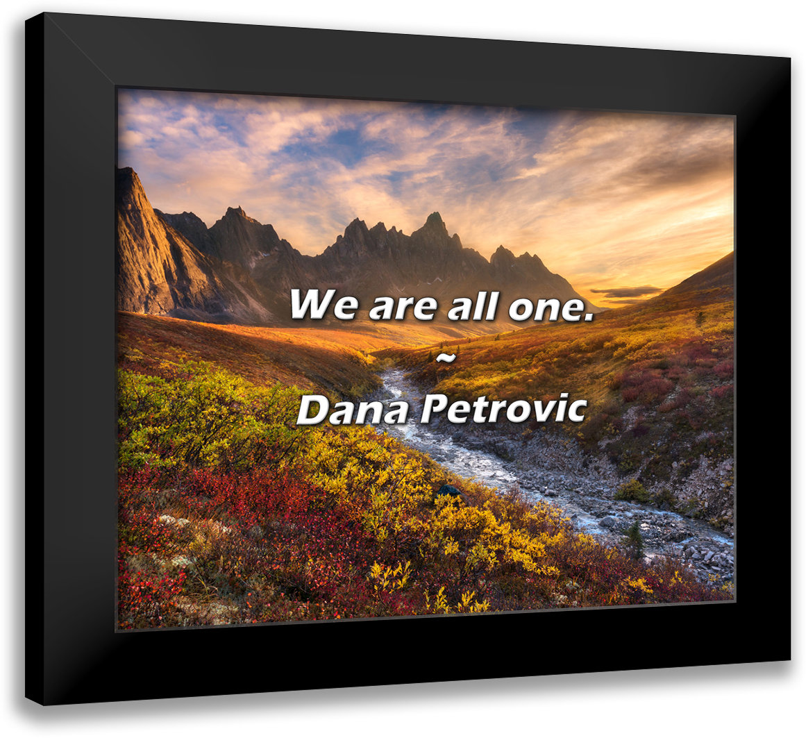 Trinx Dana Petrovic Quote: We are all one. | Wayfair