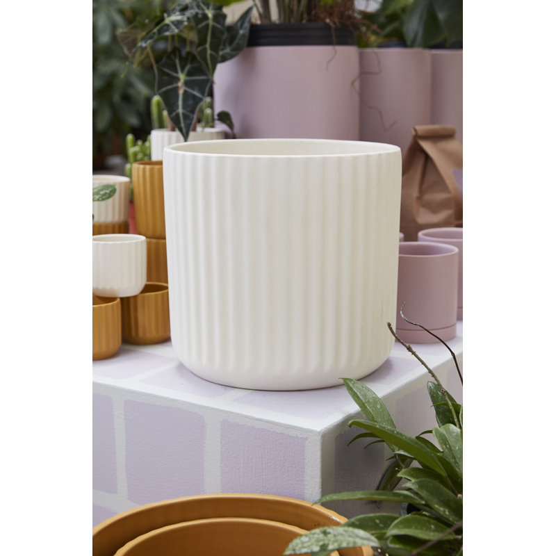 Ebern Designs Beam Pot | Wayfair