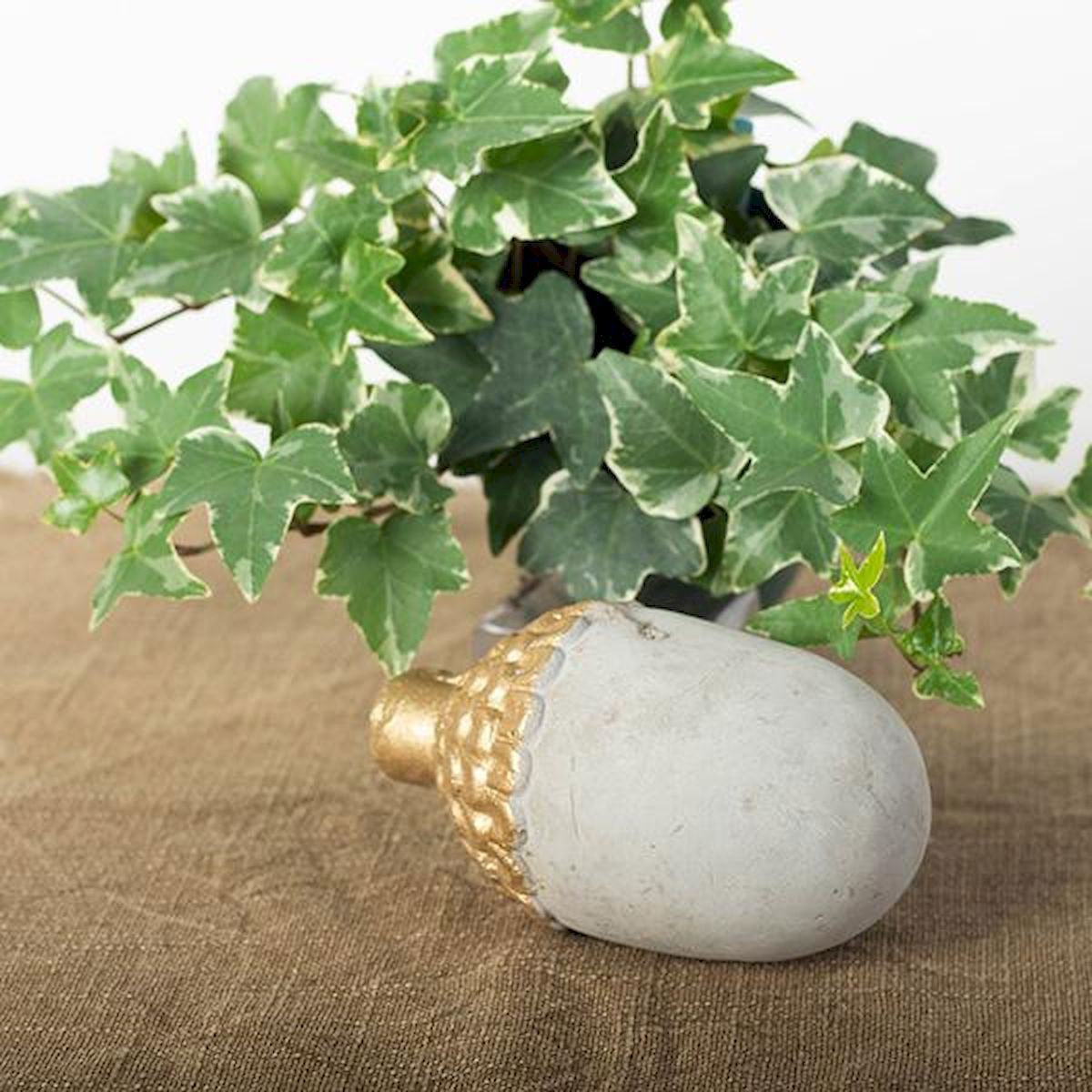 House of Hampton Dinetta Acorn Figurine - Wayfair Canada