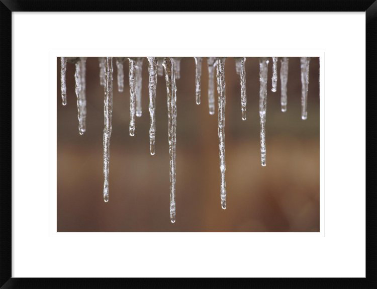 Global Gallery 'Single Strand of Icicles Melting' Framed Photographic ...