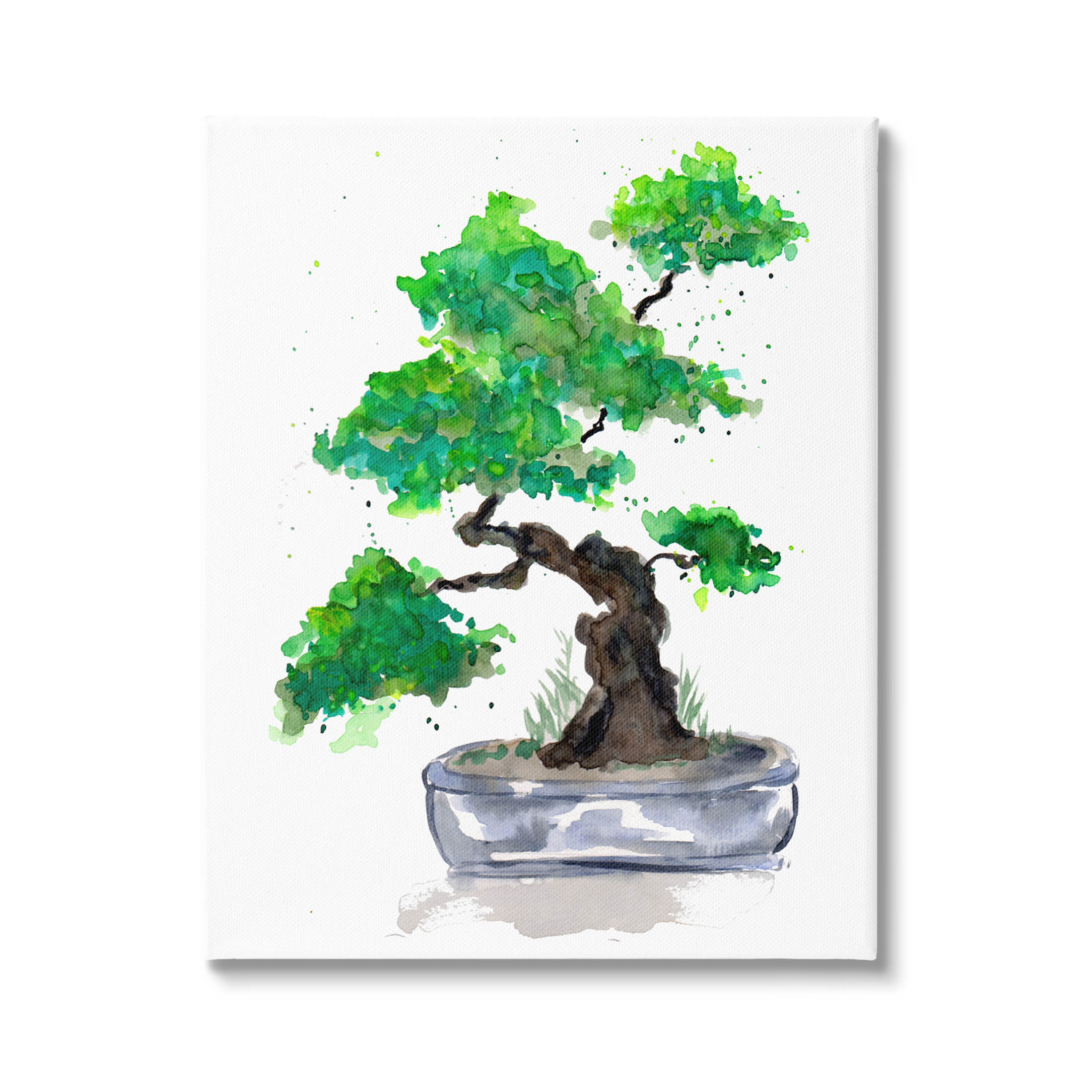 Stupell Industries Casual Blooming Bonsai Tree Canvas Wall Art By ...