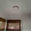 Latitude Run® Boncho LED Flush Mount & Reviews | Wayfair