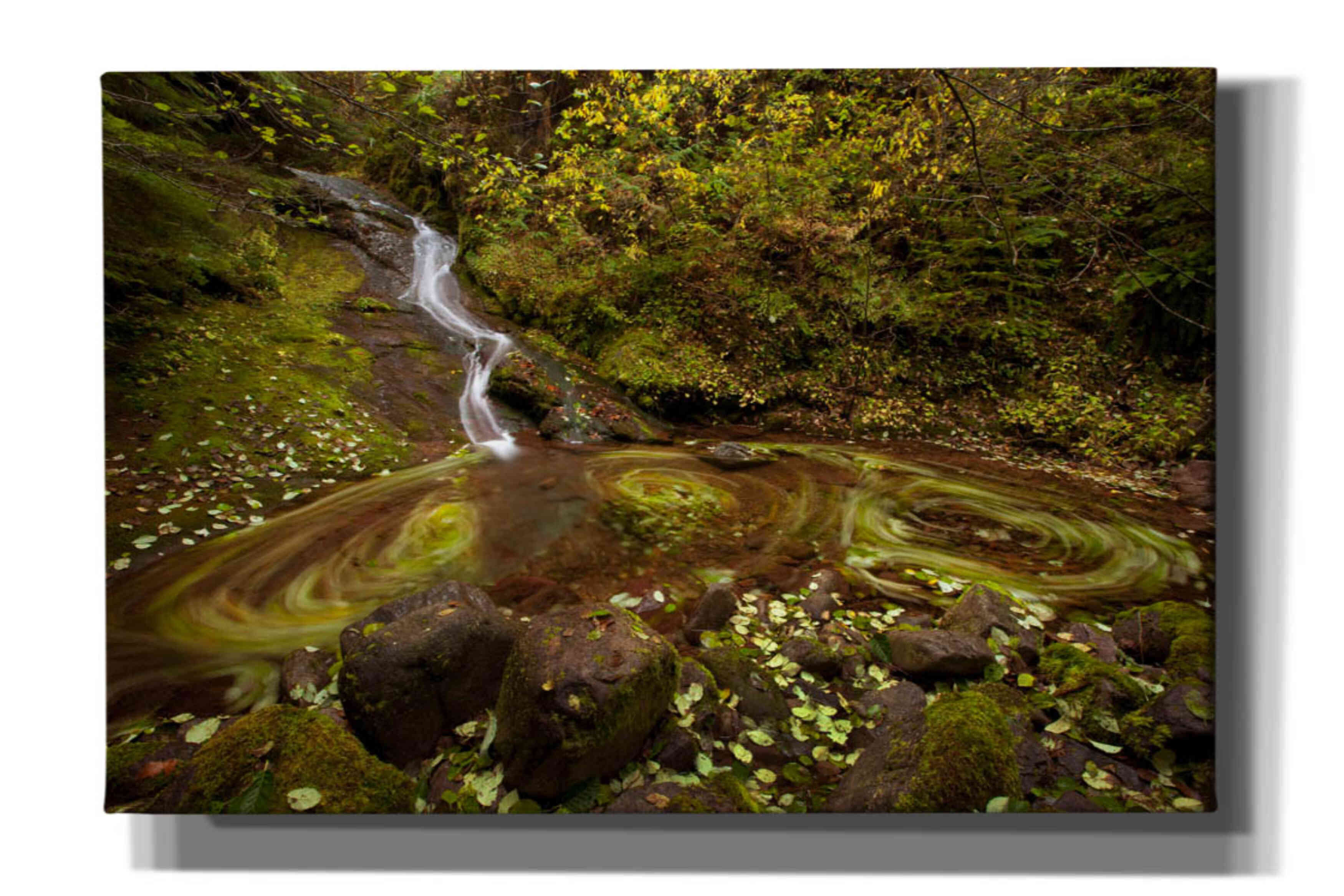 Millwood Pines Three Blurs by Thomas Haney - Wrapped Canvas Graphic Art ...