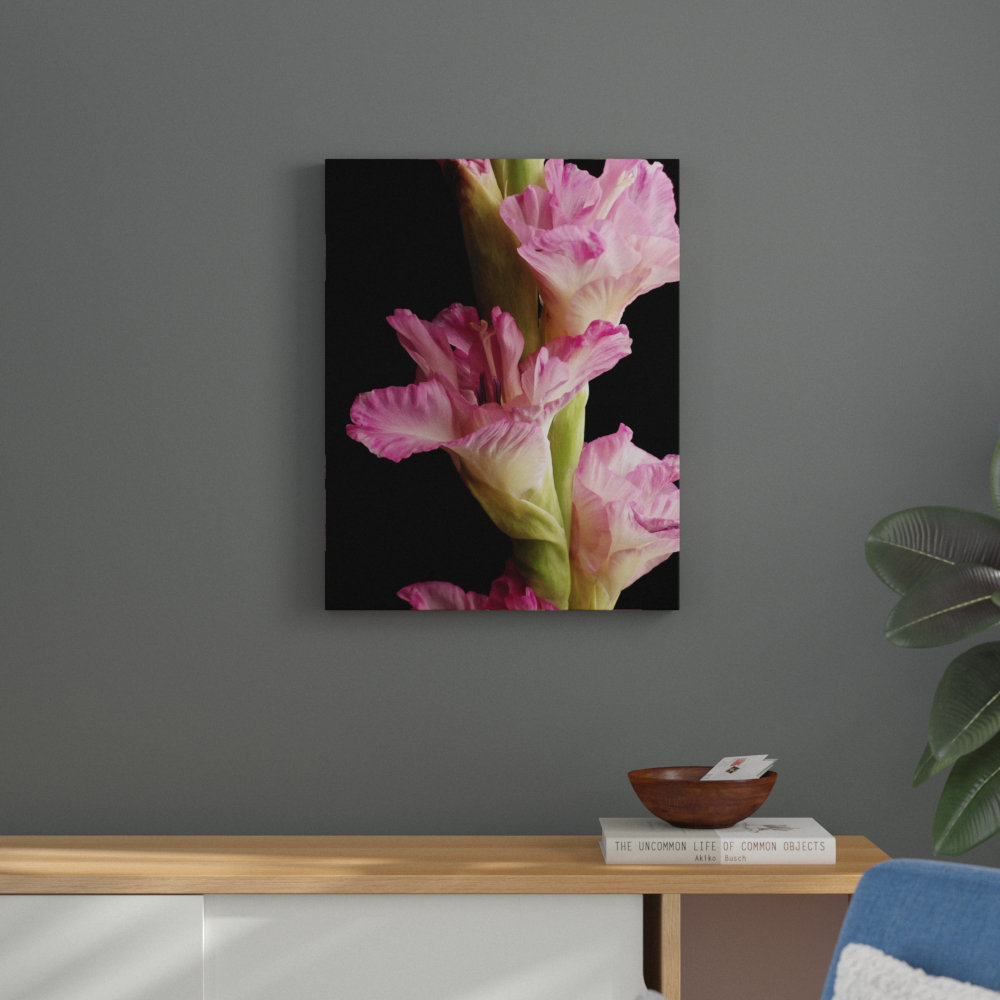 Ebern Designs 'Pink Quintessence' Photographic Print on Wrapped Canvas ...
