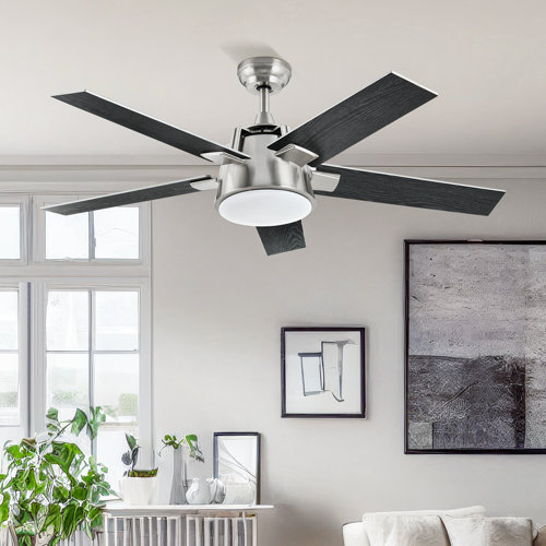 Indoor Medium Room Ceiling Fans With Lights You'll Love | Wayfair