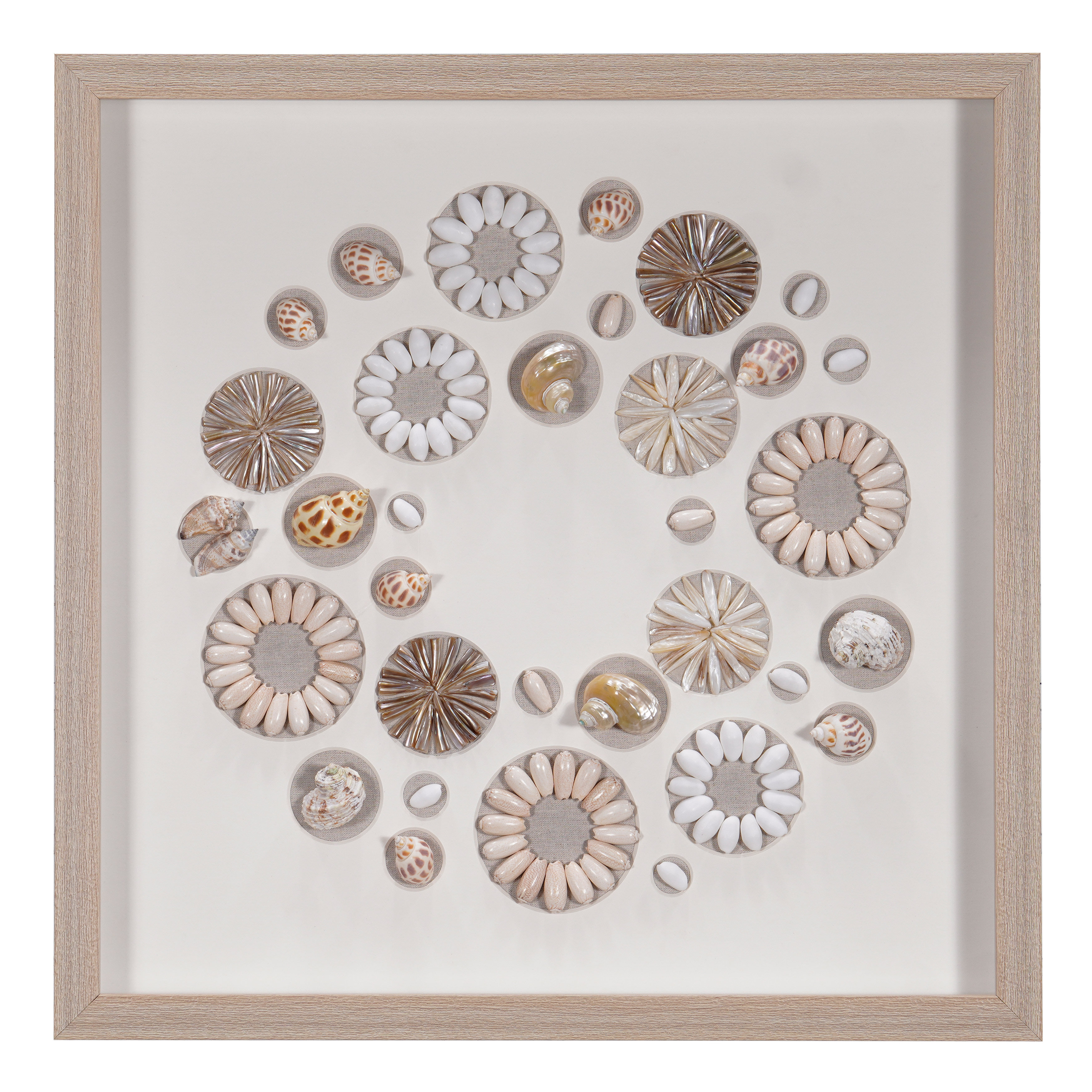 Dakota Fields Assorted Natural Shells Shadow Box Wall Décor | Wayfair