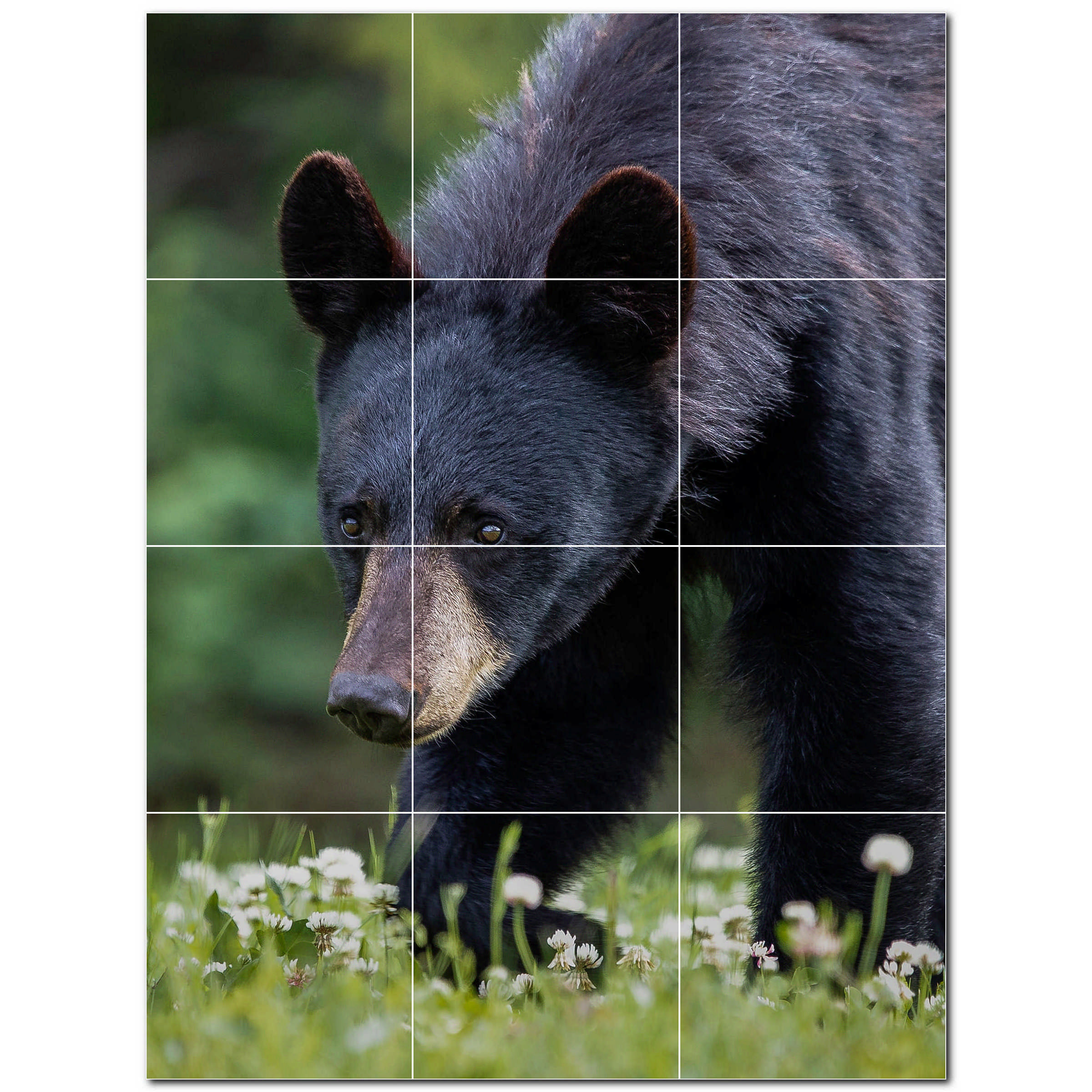 Picture-Tiles.com Bear Photo 8'' x 8'' Satin Ceramic Decorative Mural ...