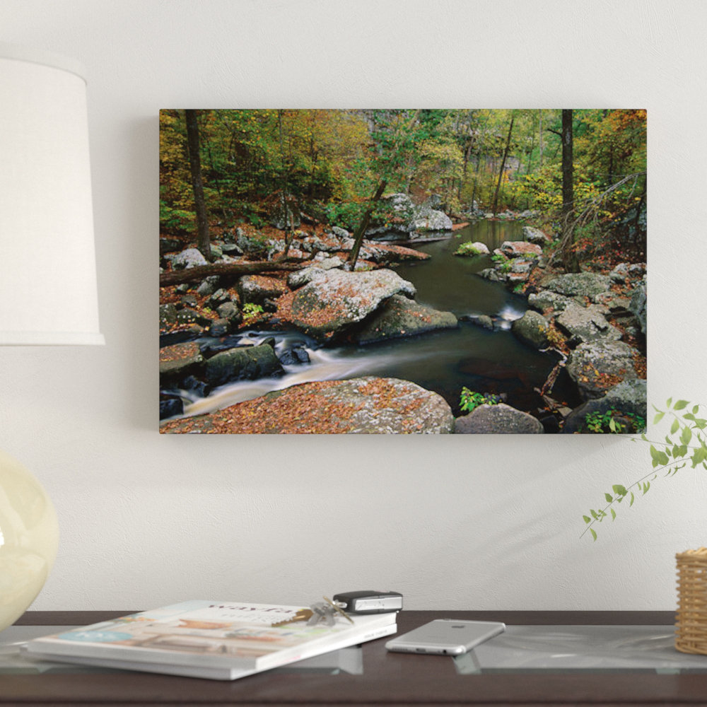 East Urban Home 'Cedar Creek, Deciduous Forest, Petit Jean State Park ...