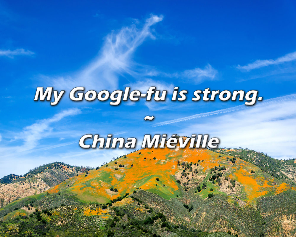 Ivy Bronx China Miéville Quote: My Google-fu is strong. | Wayfair