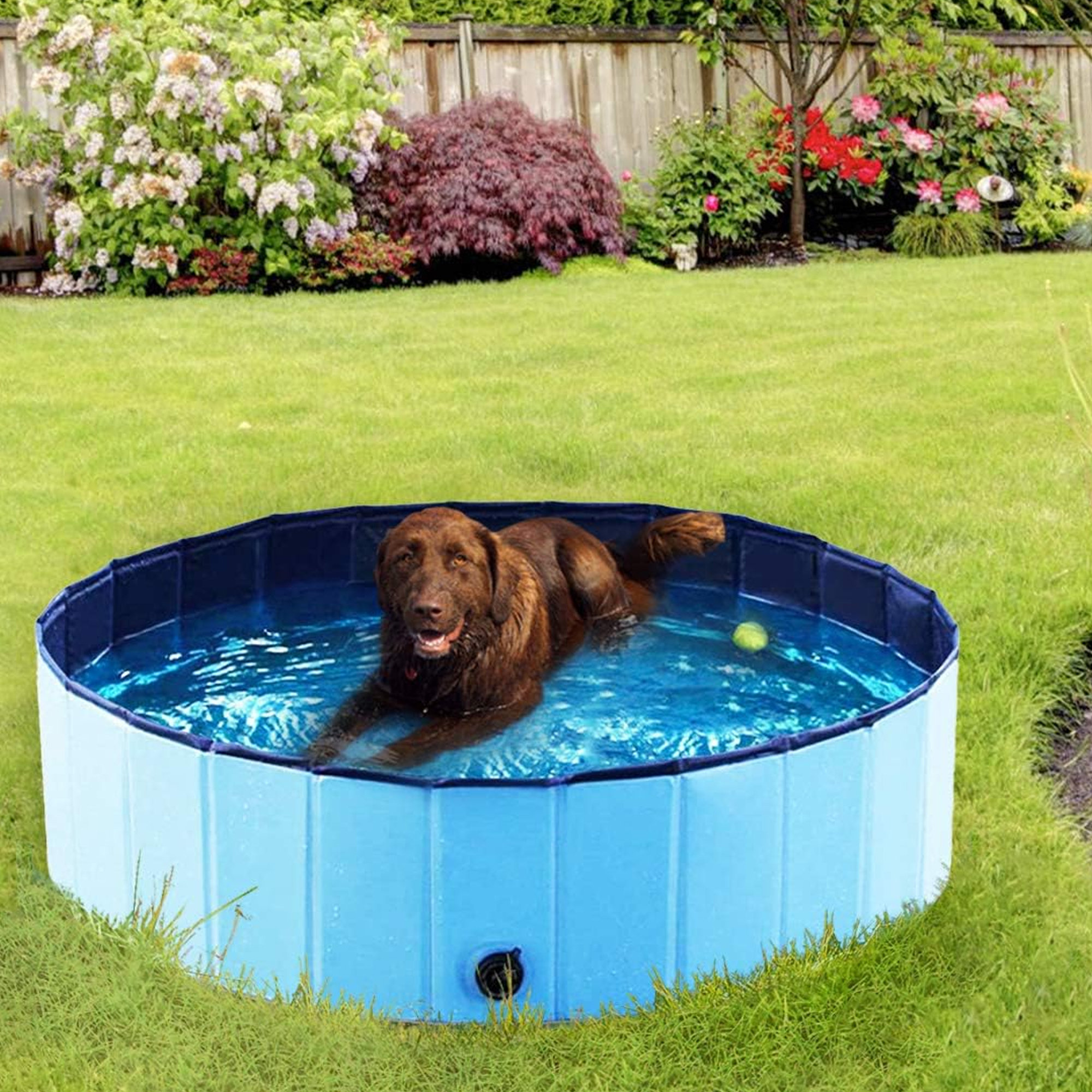Hossejoy 1.4 ft x 3.9 ft Plastic Pet Pool | Wayfair